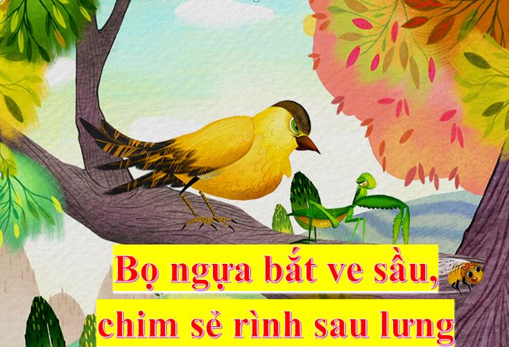 Bọ Ngựa Bắt Ve Sầu, Chim Sẻ Rình Sau Lưng - Thư Viện Tỉnh Bình Thuận